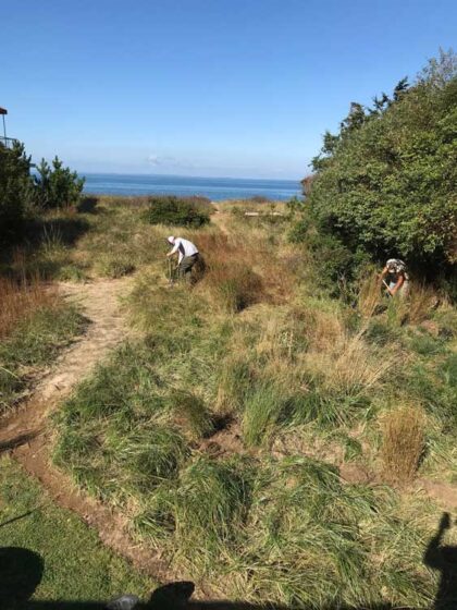 Help & Resources - Long Island Natives